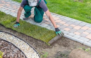 How To Get A CSLB C-27 Landscaping License - Make Me A Contractor - Blog