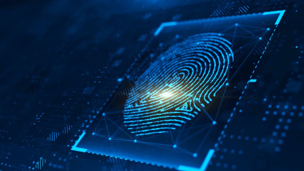 Understanding the CSLB Fingerprinting Process and Background Checks ...